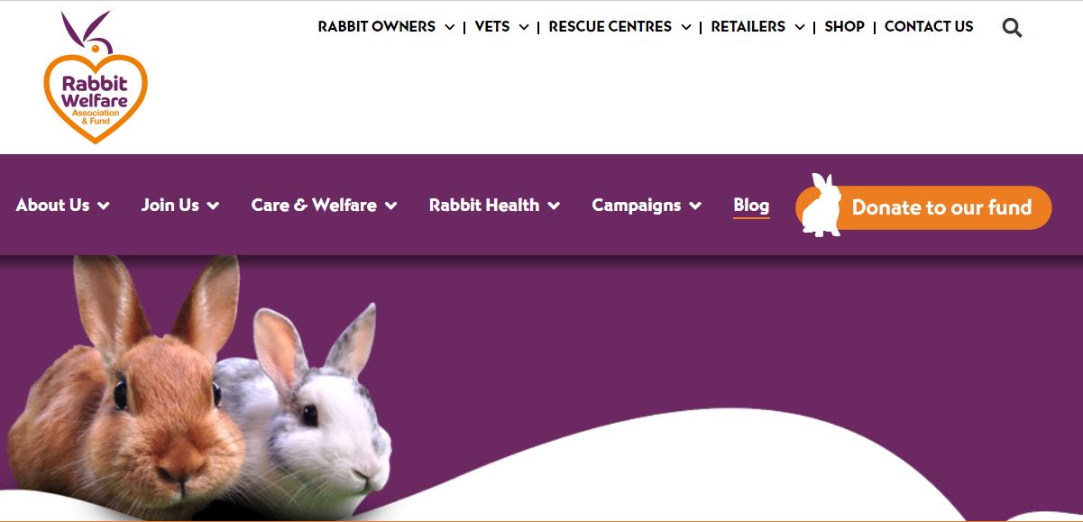 38 Useful Pet Blogs For Pet Owners - Blog On Your Own